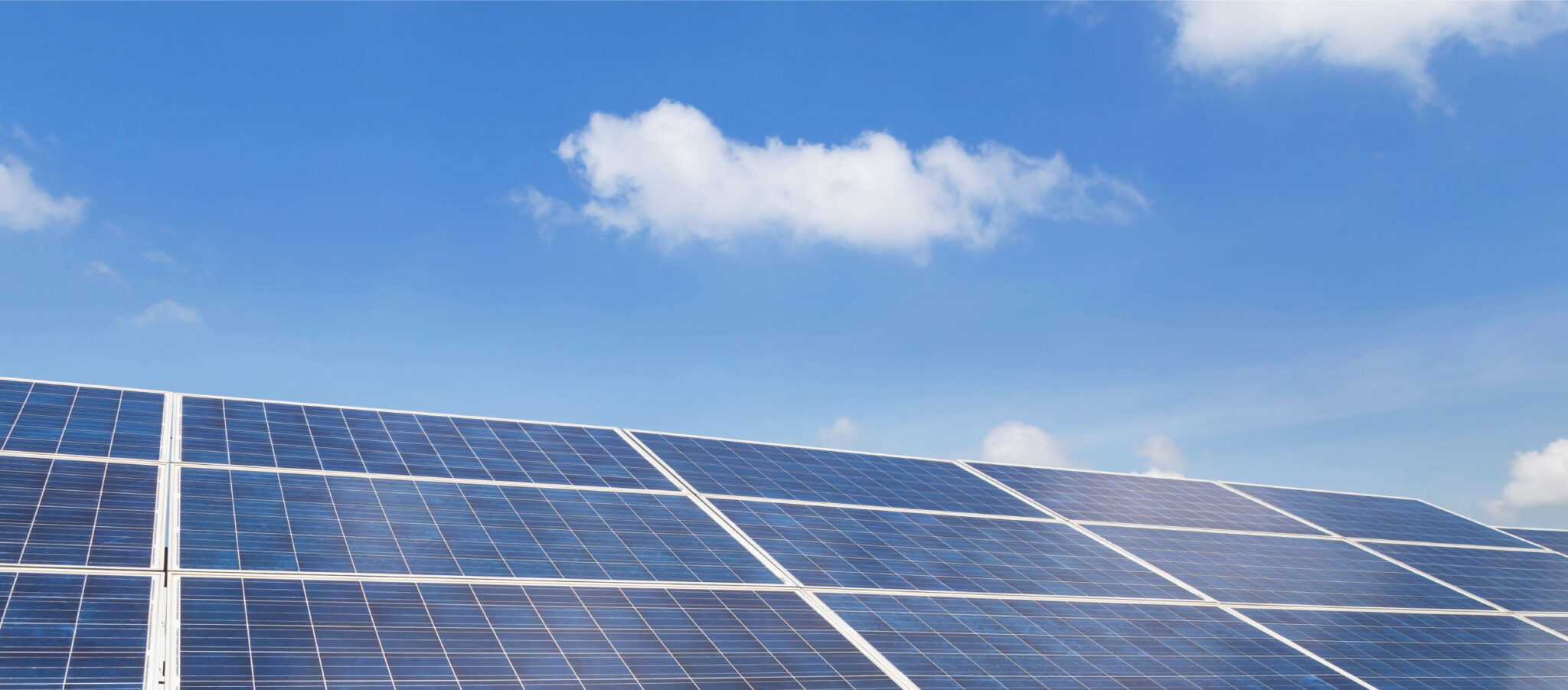 Our Group - FN Browning Group